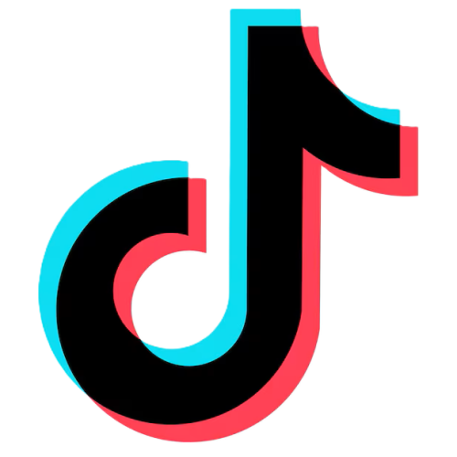 TikTok Product Feeds
